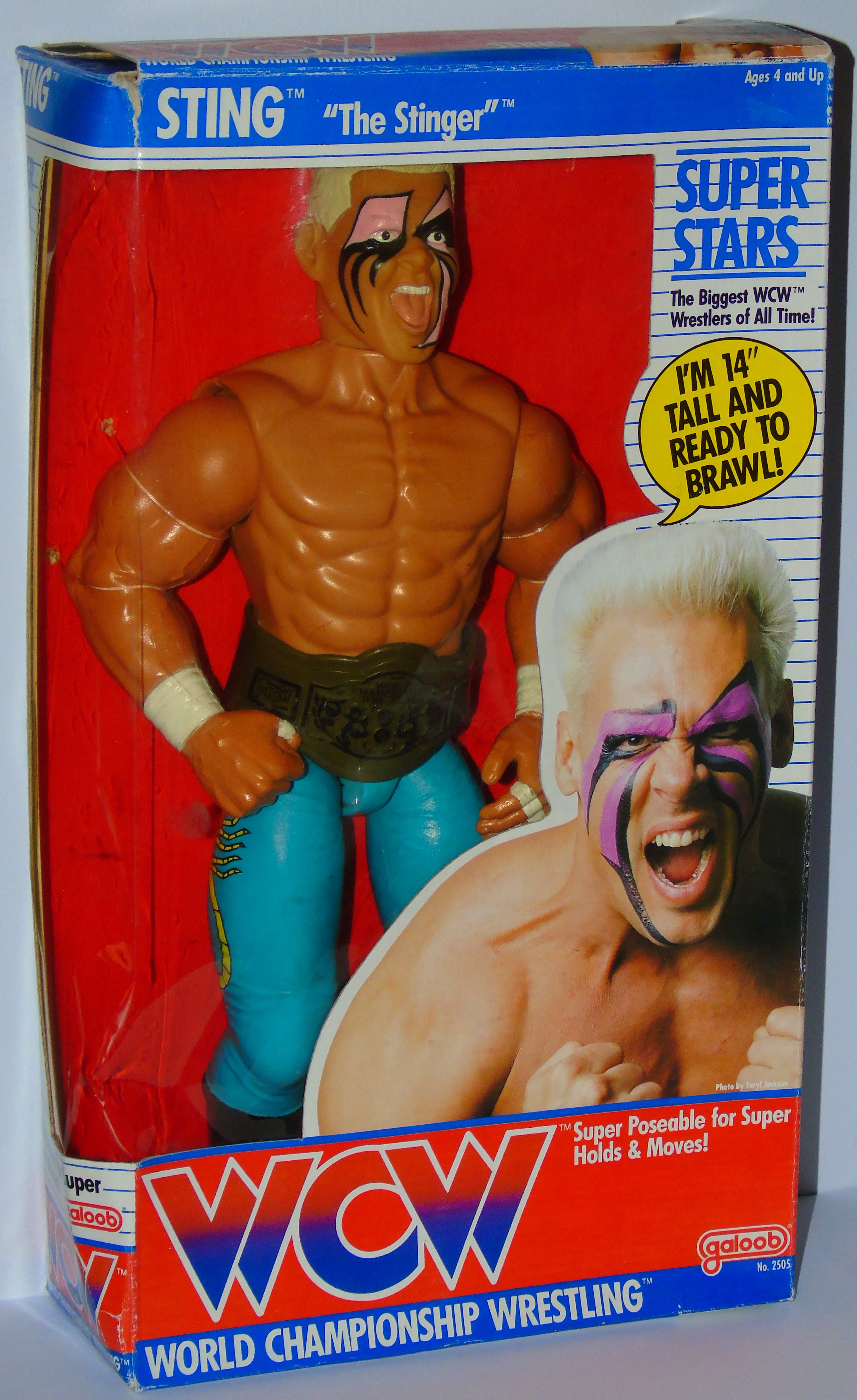 Sting WCW Galoob 14" Boxed Wrestling Figure – RetroWrestling.com
