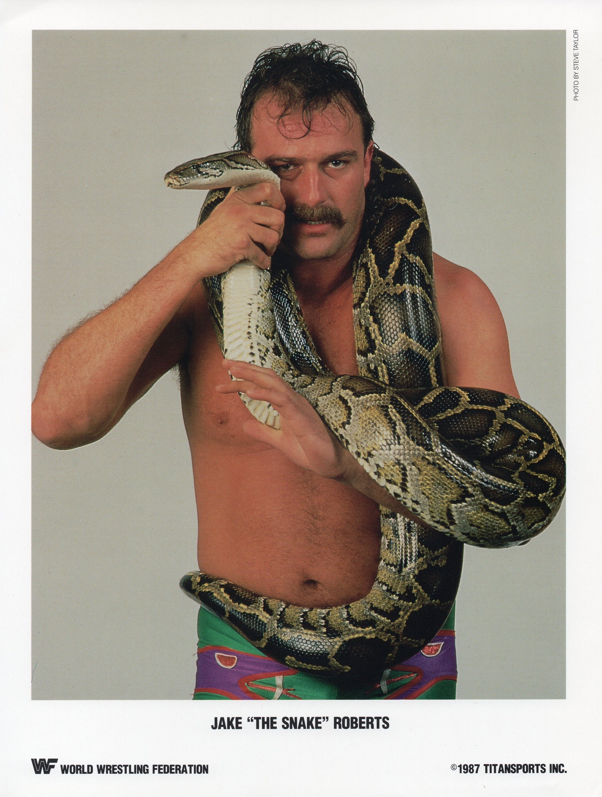 Jake The Snake Roberts WWF Promo Photo – RetroWrestling.com
